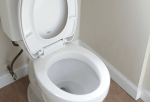 Toilet Water Rises then Slowly Drains - How to Fix it - LivingProofMag
